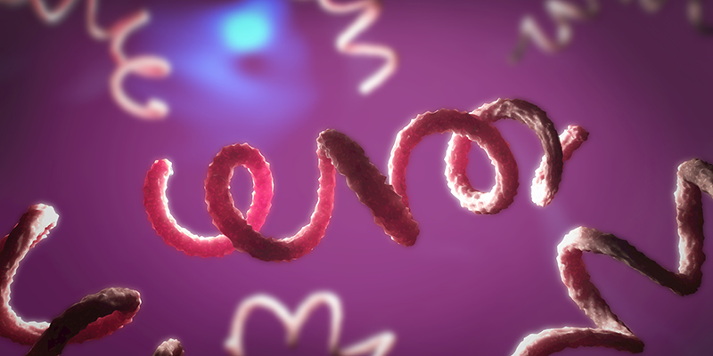 Van syfilis naar neurosyfilis: het belang van een vroege diagnose | H&W