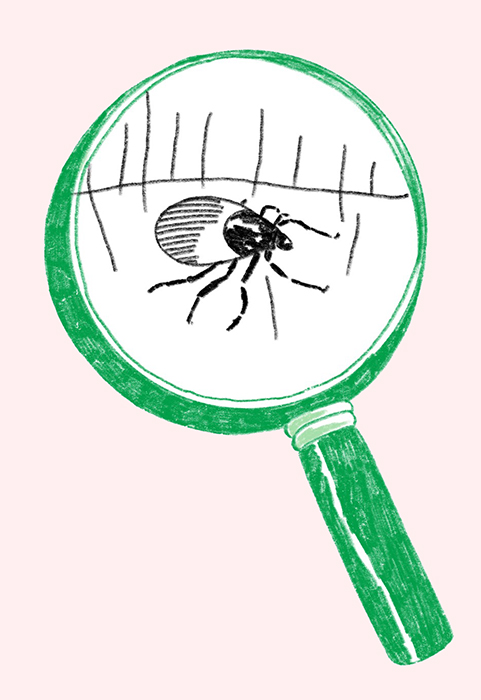 Zoönosen, de publieke gezondheid en de huisarts | H&W