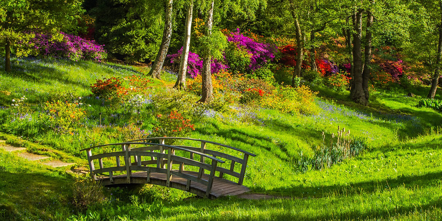 Een groene omgeving helpt tegen depressie | H&W