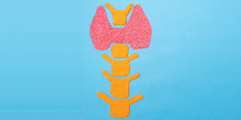 Tekort aan Thyrax®: zijn merken inwisselbaar? | H&W